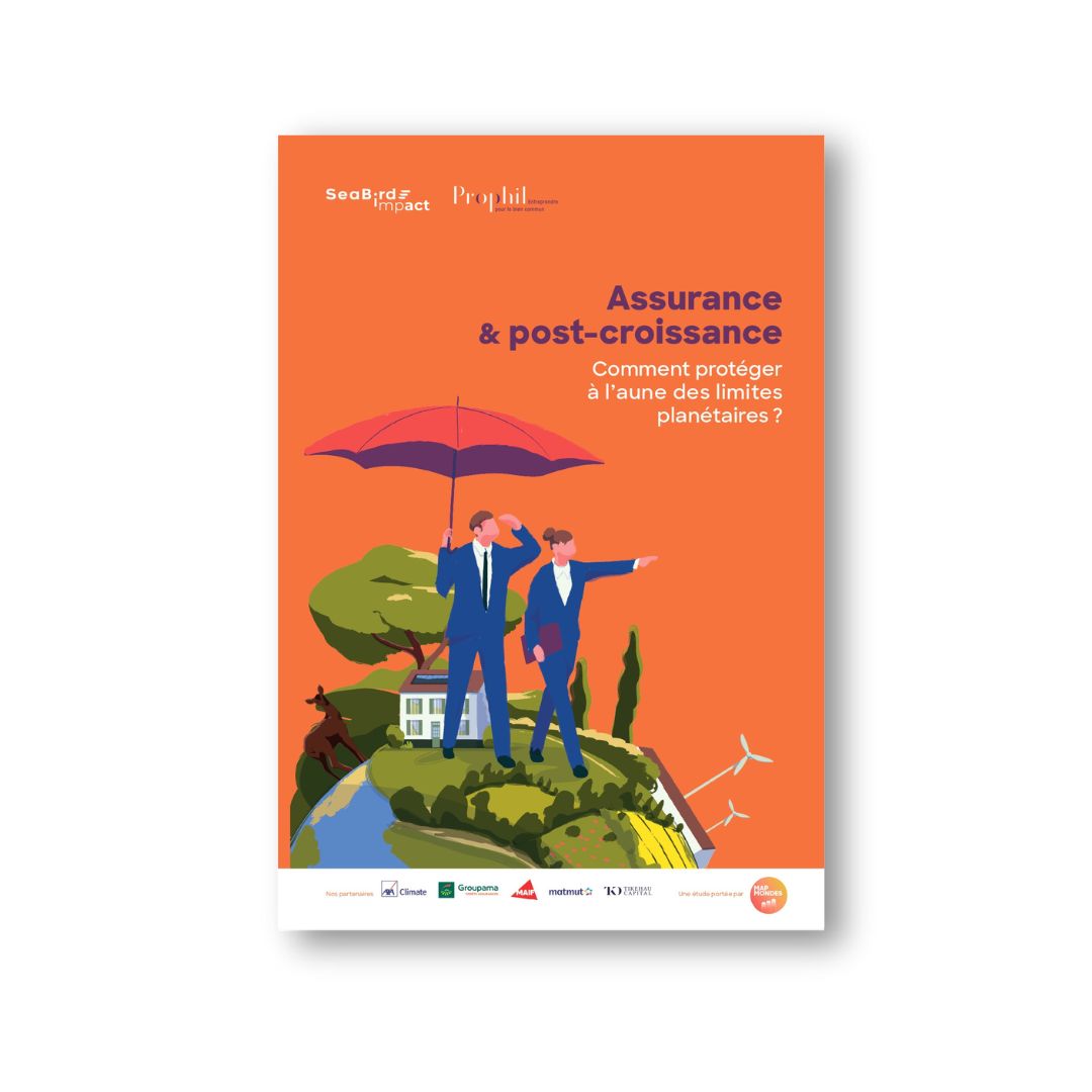 Etude Assurance et Post-croissance : comment protéger à l'aune des ...